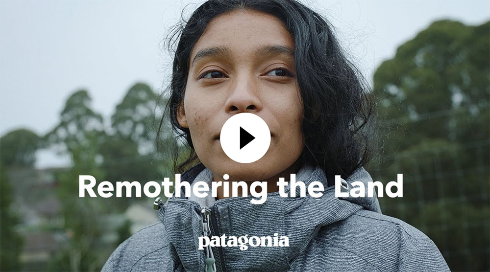 Inspiration: Patagonia leads the way to sustainability - Alliance for ...
