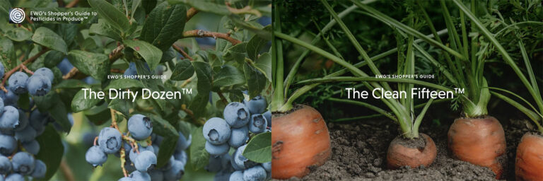 Sustainability Tip: The Dirty Dozen vs. The Clean Fifteen – Reducing ...
